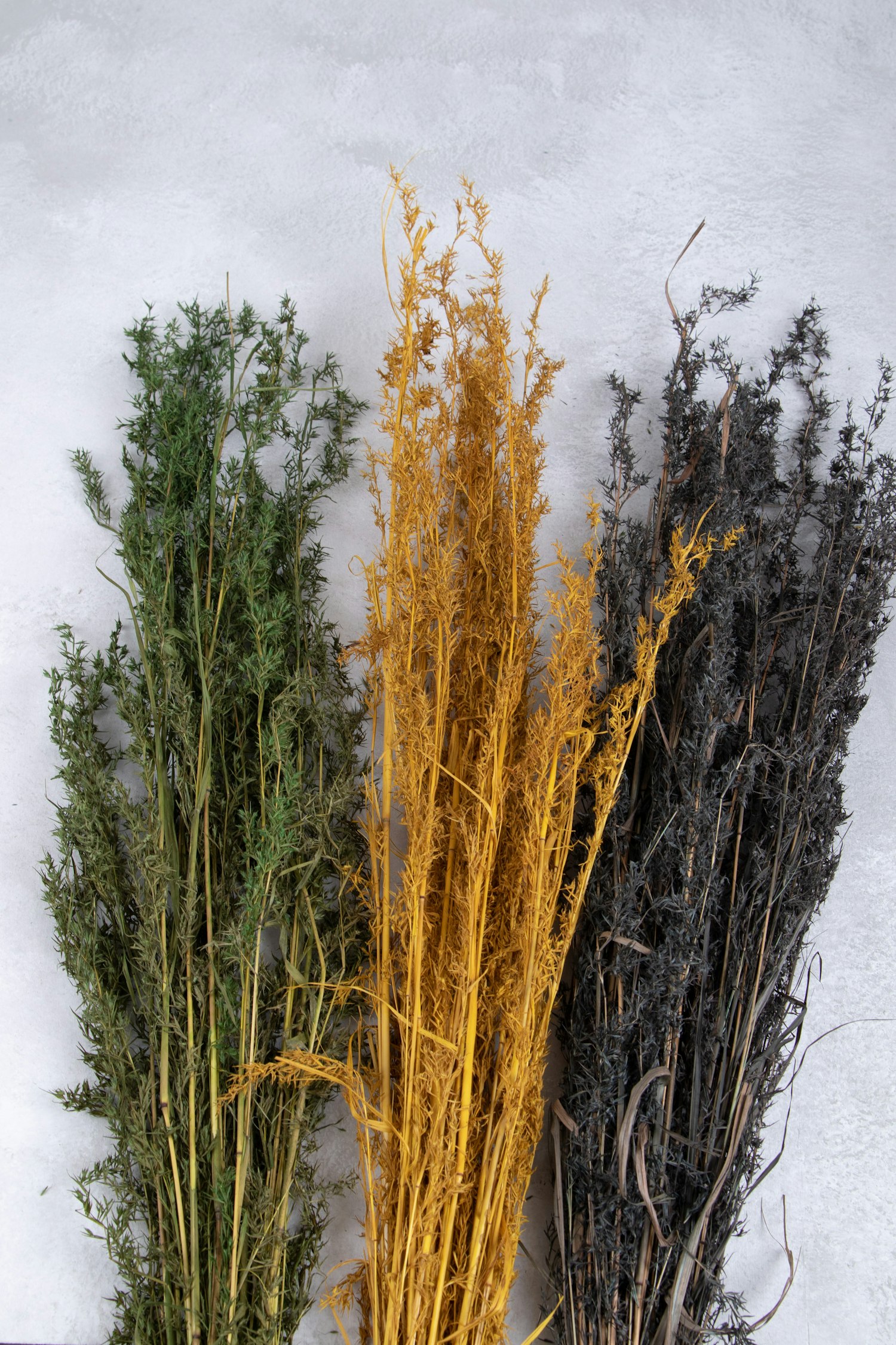 Couronne Alpha Grass